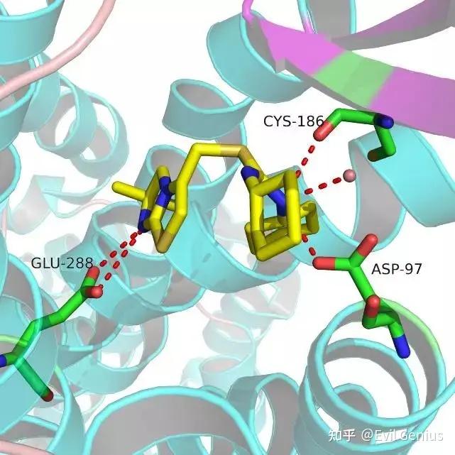 多组学扩展---分子对接pyrosetta - 知乎