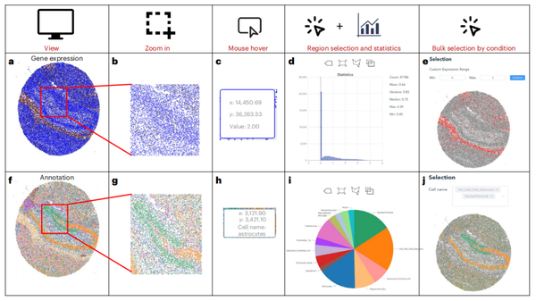 Nat Methods | SODB推动空间组学数据的全面探索 - 知乎