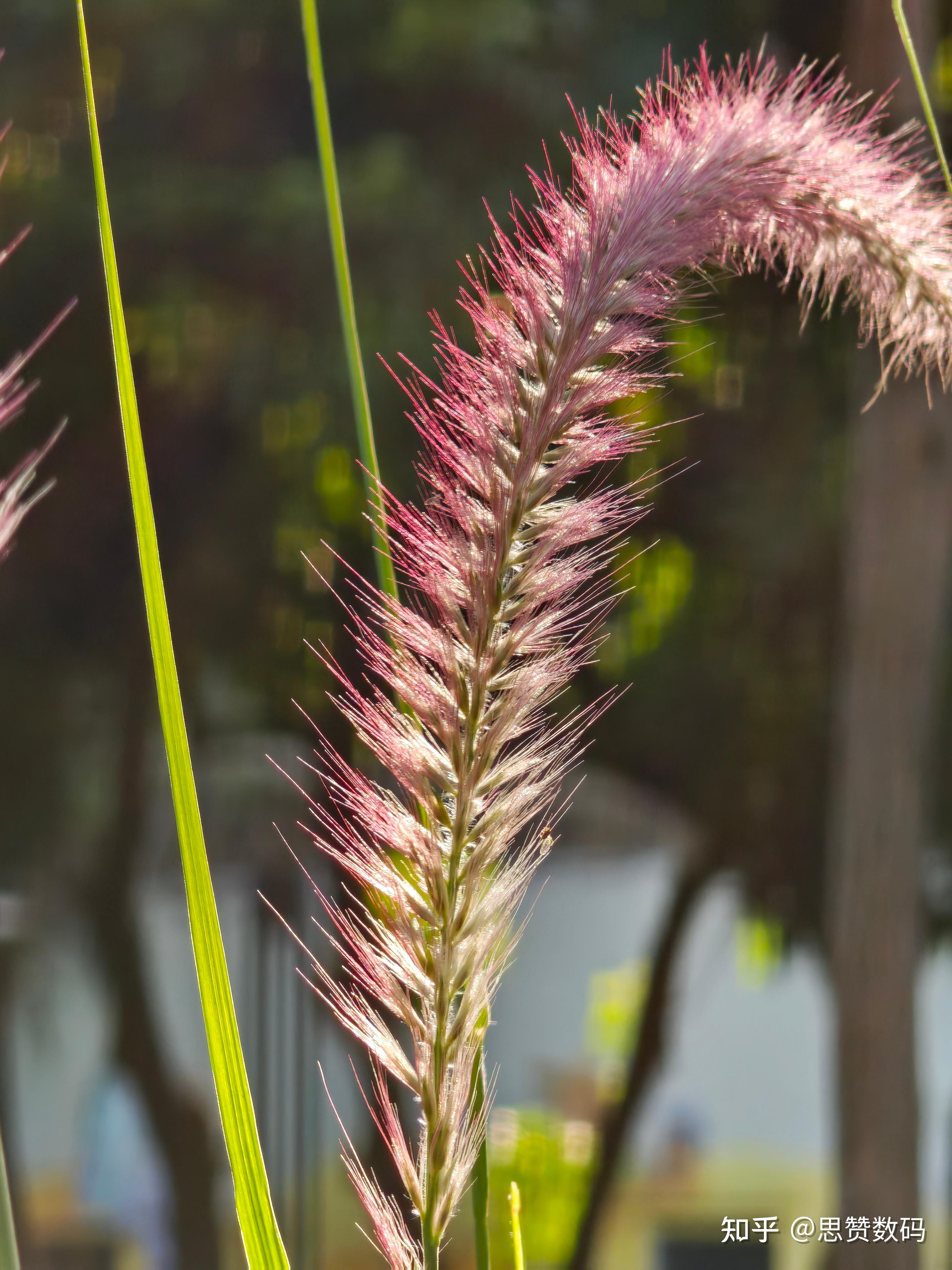 影像音质详细测 REDMI K90 Pro Max测评