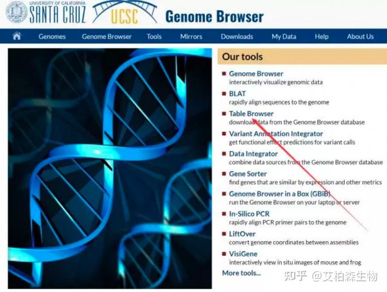 怎么查找基因的启动子、UTR、TSS等区域以及预测转录因子结合位点 | 环状RNA社区 - 知乎