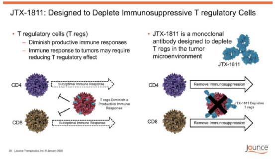 新兴免疫靶点CCR8图鉴 - 知乎