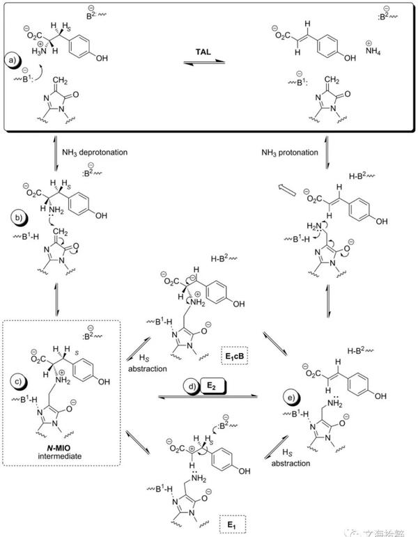 Nat Commun│从真菌中发现柚皮素合成的新途径 - 知乎