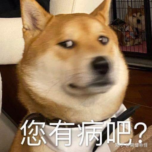 分享一些狗狗表情包(›´ω`‹ ) - 知乎