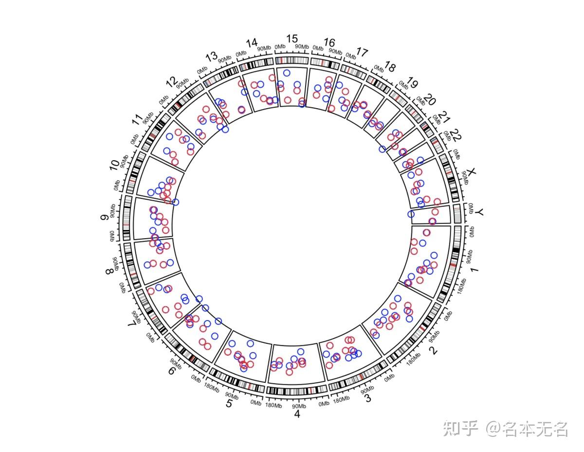 R 数据可视化 —— circlize 基因组绘图函数 - 知乎