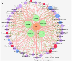 凌恩客户文章|JCR 一区:多组学联合分析揭示PCOS真元凶 - 知乎