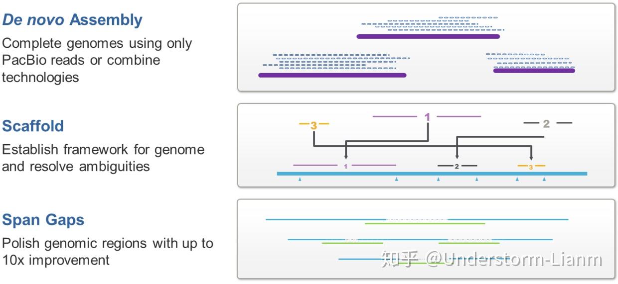 三代测序入门：PacBio数据分析 - 知乎