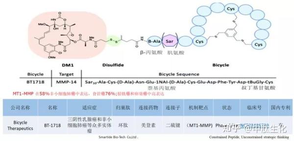ADC的下一个风口多肽偶联物（PDC)全球管线解析 - 知乎