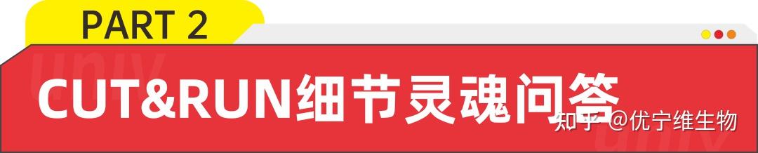 蛋白-DNA互作Cut & Run实验细节大揭秘 - 知乎