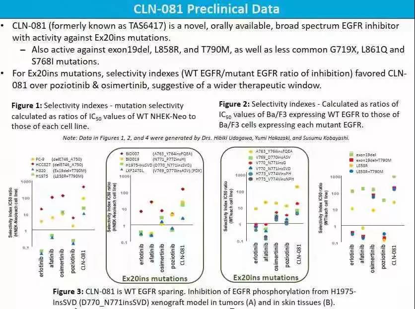 治疗EGFR 20ins的又一悍将——CLN-081（TAS6417） - 知乎
