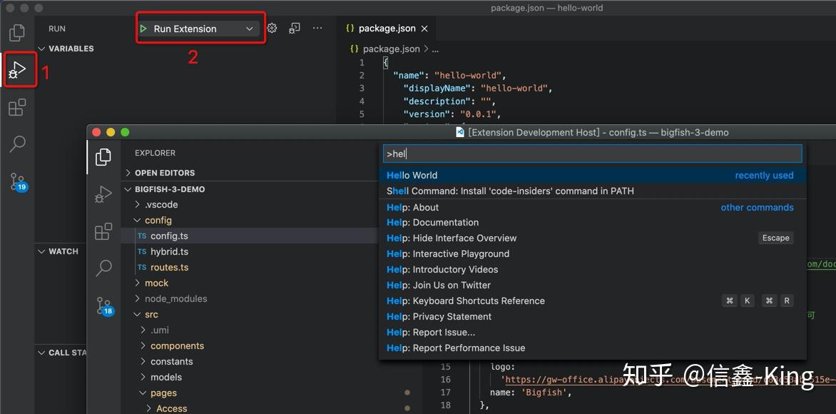 Bigfish VSCode 插件开发实践 - 知乎