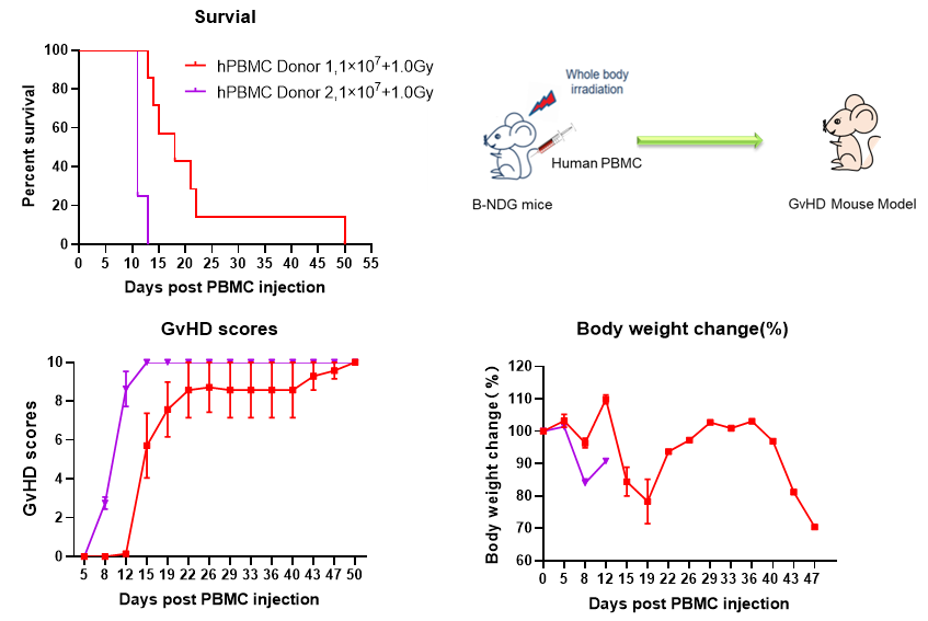怎么又双叒叕GvHD了？--GvHD模型的建立与应用 - 知乎