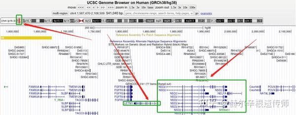 Wolf-Hirschhorn 综合征/4p16.3缺失综合征疾病介绍及应对策略 - 知乎