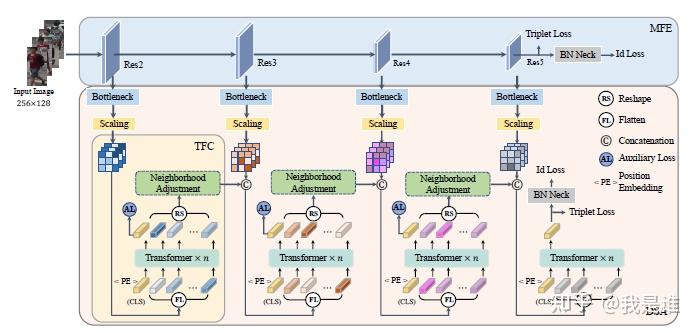 CNN+Transformer实现行人重识别 - 知乎