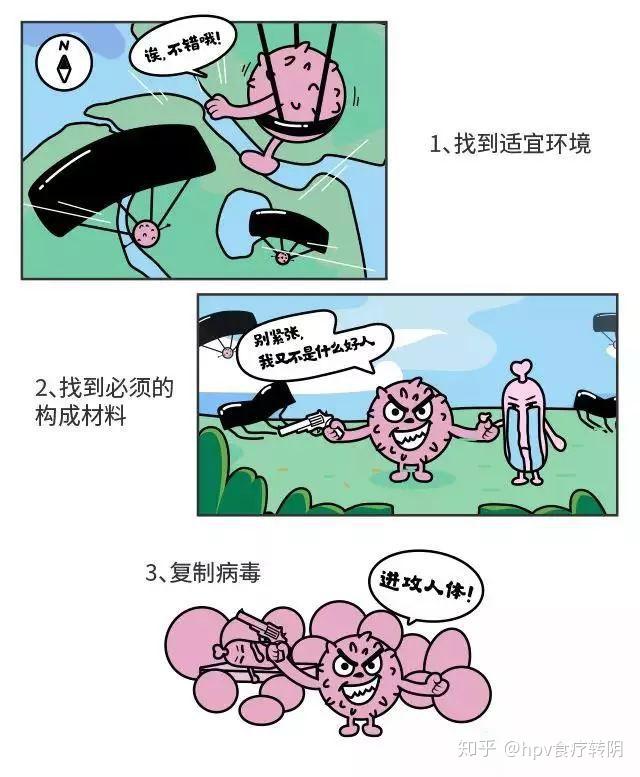 Hpv是什么? 感染hpv的途径有哪些?如何预防感染hpv? 知乎