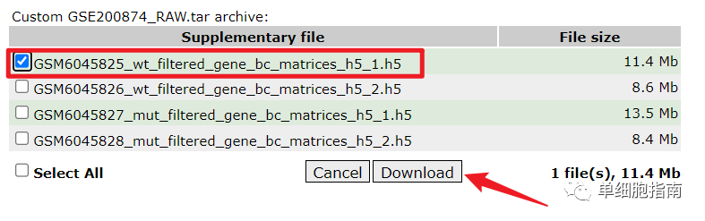 单细胞实战(1)数据下载-数据读取-seurat对象创建 - 知乎