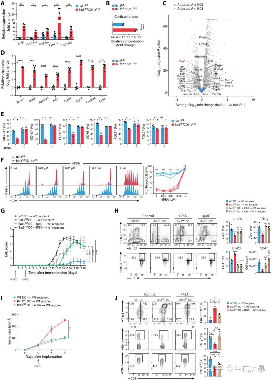 Sci Immunol丨Tim-3 适配器蛋白 Bat3 是耐受性树突状细胞 - 知乎