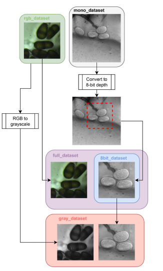 利用深度学习开发葡萄真菌孢子分类的显微镜图像数据集 - 知乎