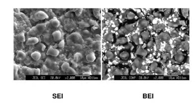 检测项目 | 扫描电子显微镜（SEM） - 知乎