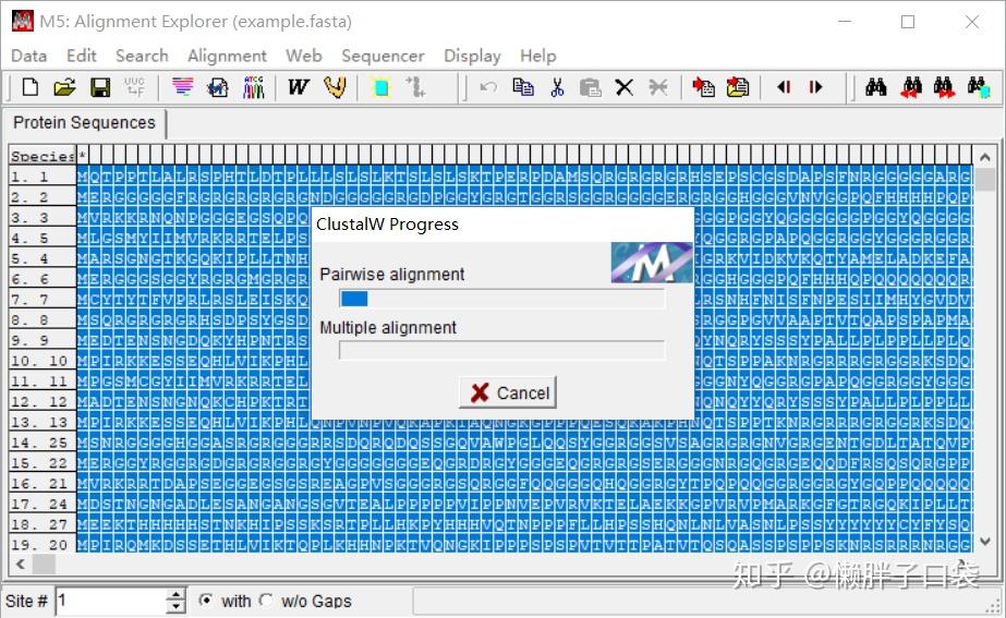 MEGA5.1获取和构建系统发育树 - 知乎