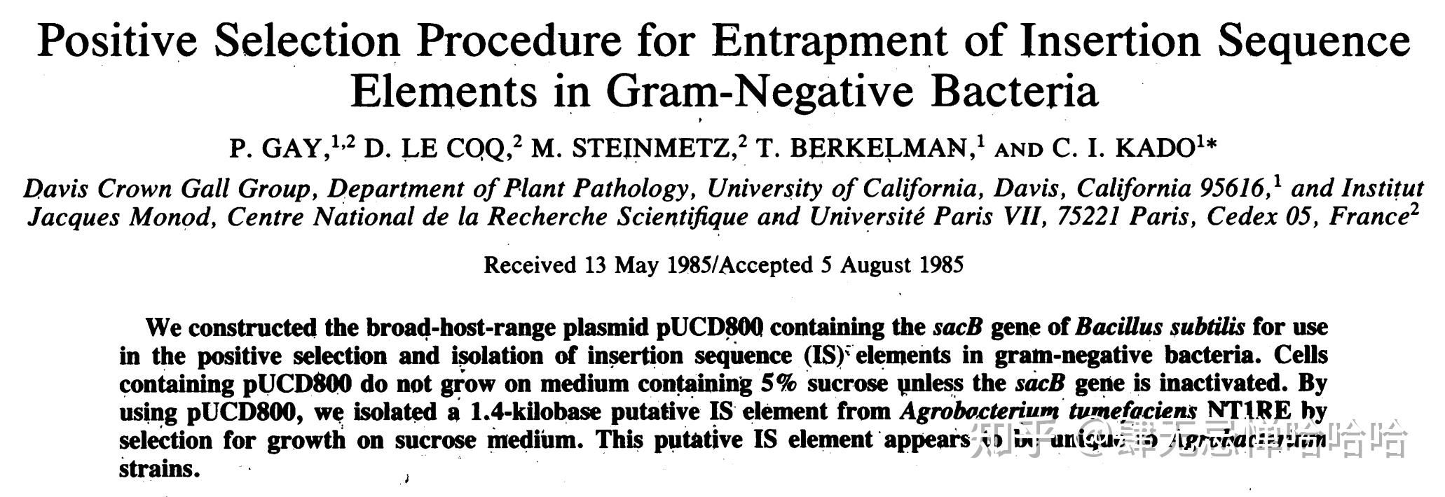 认识一下sacB gene - 知乎