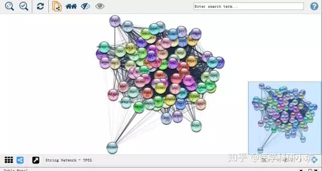 一网打尽：cytoscape详细教程 - 知乎