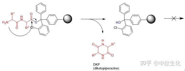 中肽技术 | 常见多肽杂质类型、形成机理及应对方案（2） - 知乎