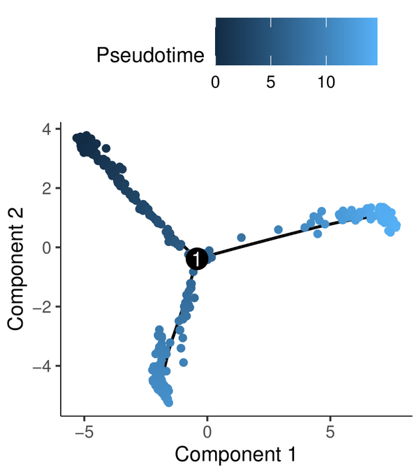 单细胞分析实录(15): 基于monocle2的拟时序分析 - 知乎