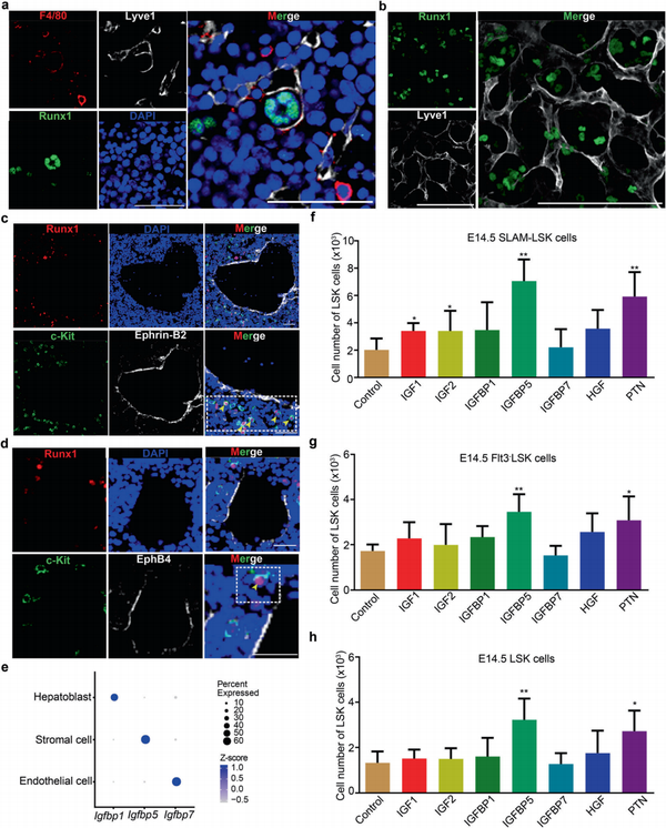 Cell Research | 单细胞时空转录组技术鉴定胎肝中HSC/MPP扩增单位 - 知乎