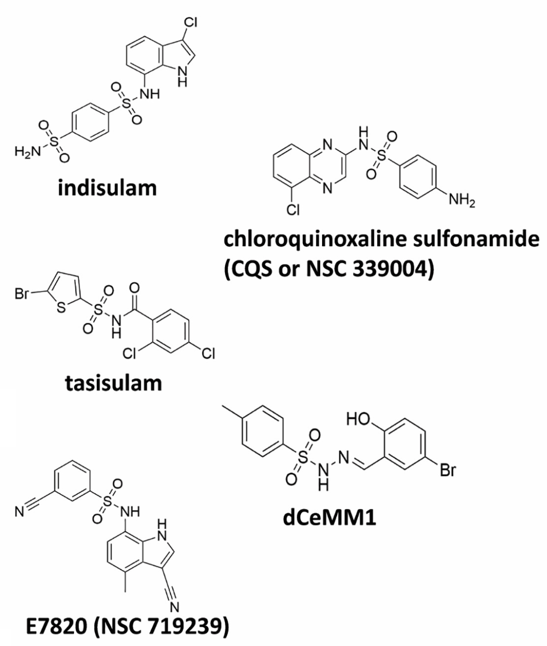 【Cell Chemical Biology】降解型分子胶分子机制总结 - 知乎