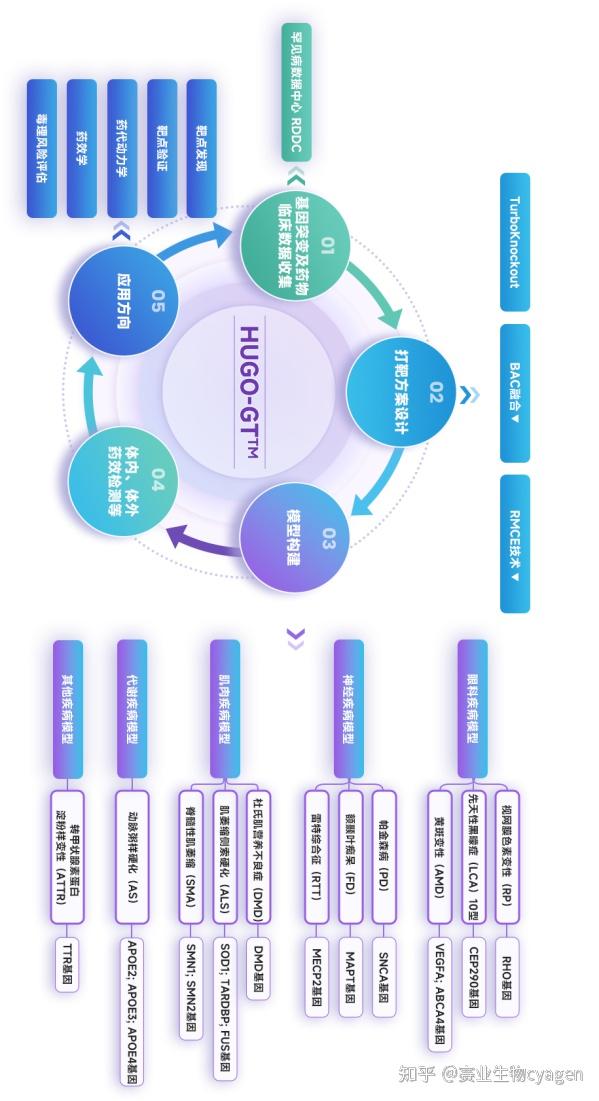 下一代全基因组人源化模型构建计划——HUGO-GT Program，加速基因治疗药物研发 - 知乎