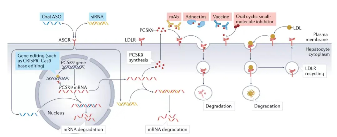 PCSK9: 心血管疾病治疗的明星靶点 - 知乎