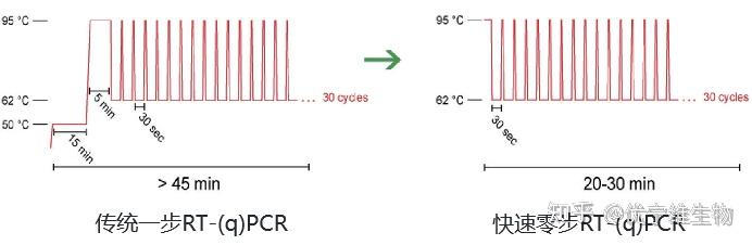 你还不知道吗∣更高更快更强的RT-(q)PCR - 知乎