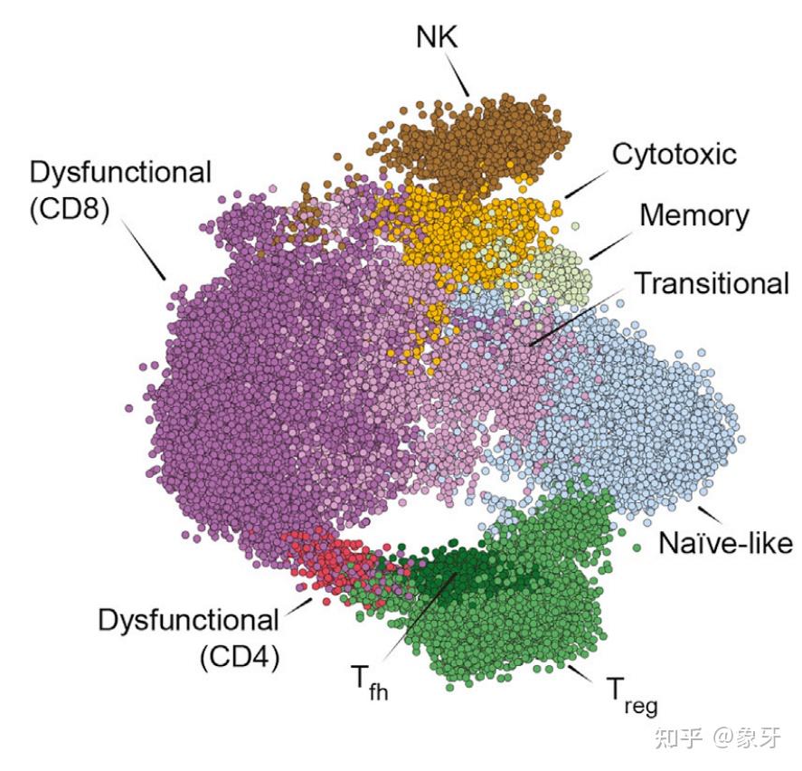 scRNAseq新包速递-SuperCell - 知乎