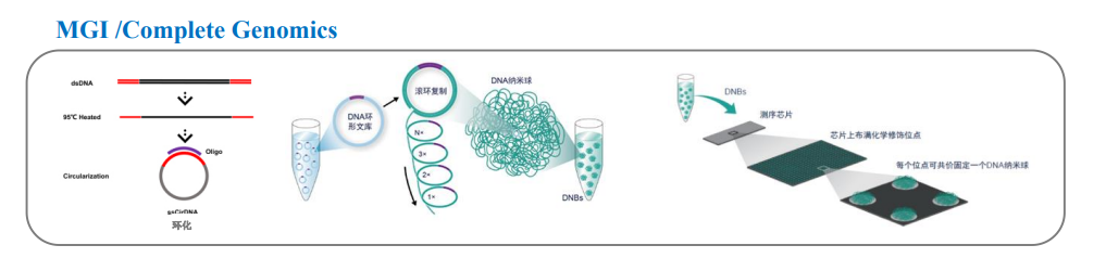 IVD市场分析丨基因测序（NGS）篇 - 知乎