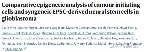 Nat Comm | 表观遗传学层面比较胶质母细胞瘤与神经干细胞 - 知乎
