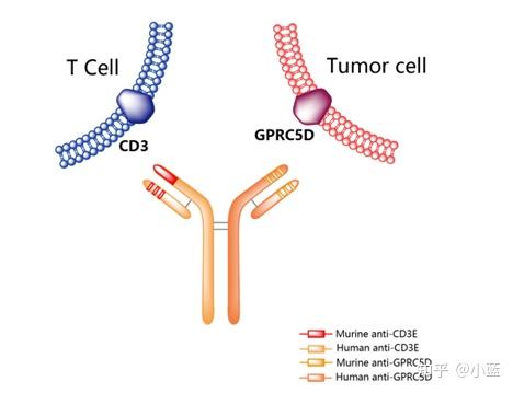 回顾2023--FDA批准药物盘点 - 知乎