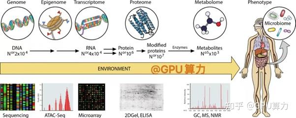 CPU，GPU再到AI4S：诺贝尔奖推动AI for Science科研范式变革 - 知乎