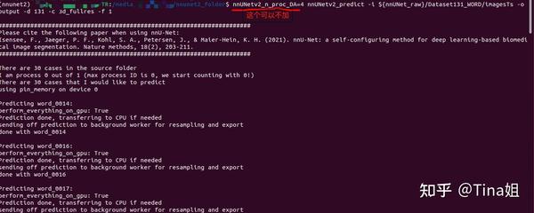 三行命令搞定nnUNet v2训练及推理！（三） - 知乎