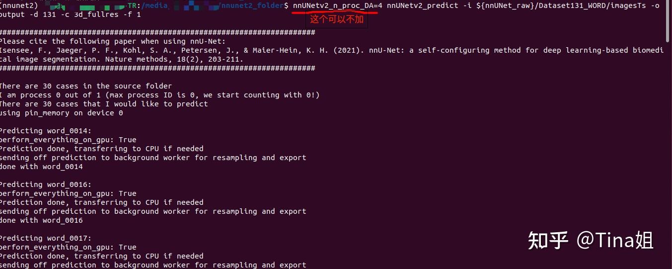 三行命令搞定nnUNet v2训练及推理！（三） - 知乎