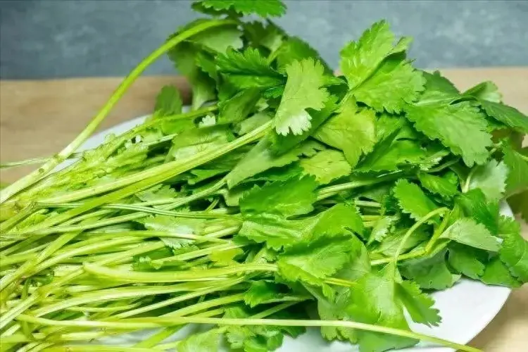 很多地区把香菜叫yansui，太土了！后来才知道是我错了！ - 知乎