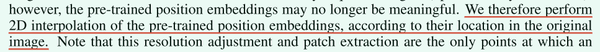 ViT 微调时position embedding如何插值（interpolate）【源码解析】 - 知乎