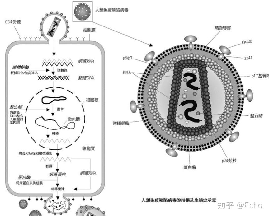 艾滋病行为风险评估wtxj+wtgj+bdkj+zdkj+ytxj - 知乎