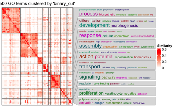 🤒 simplifyEnrichment | 让我来做你的富集结果的瘦身教练吧！~ - 知乎
