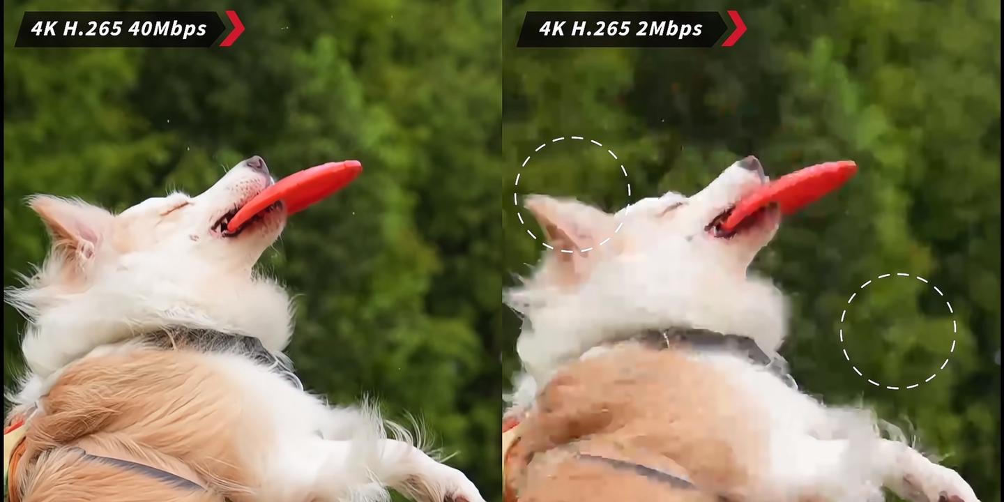 2025年家庭影音的终极形态，一台电视就够了！创维电视 A6F Pro 是否值得入手？ - 知乎