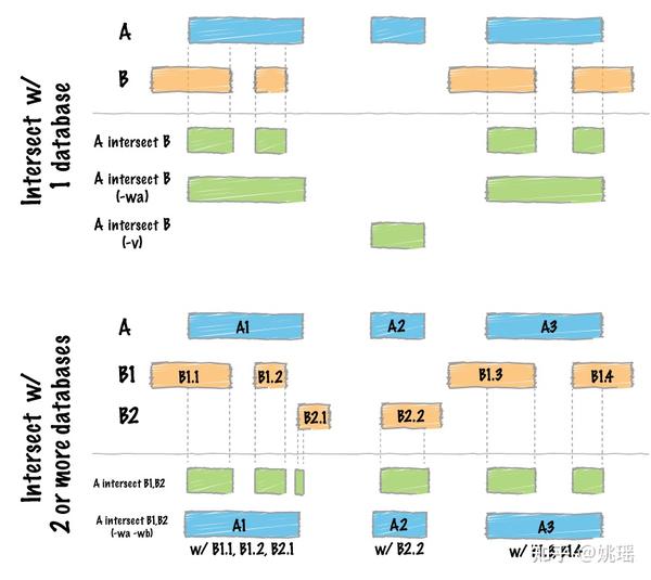 BEDtools——如何利用它进行基因组学数据分析？ - 知乎