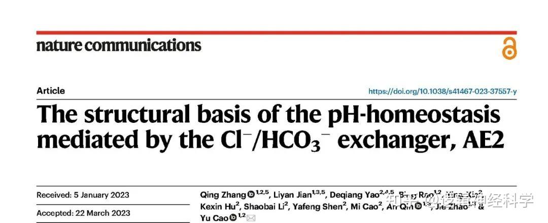 Nat Commun︱上海交通大学医学院曹禹团队揭秘AE2参与pH稳态调节的分子机制 - 知乎
