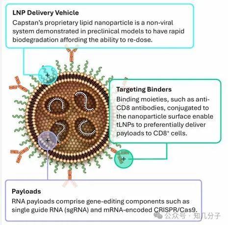 卷土重来：in vivo CAR-T的研发进展与挑战 - 知乎