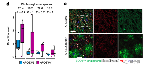 哪种人更易患老年痴呆？MIT团队揭示阿兹海默症背后的基因机制｜Nature - 知乎