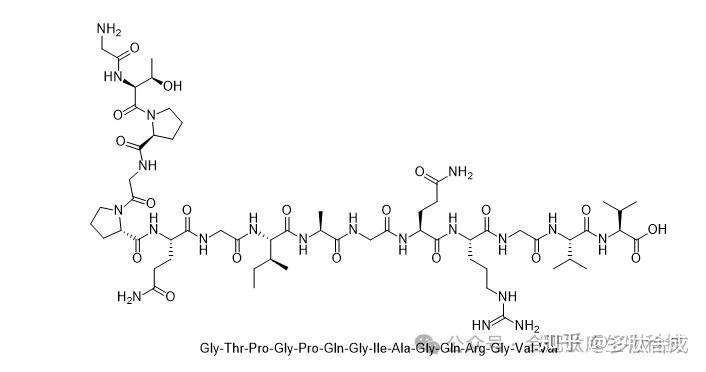13种骨愈合与再生作用的多肽 - 知乎