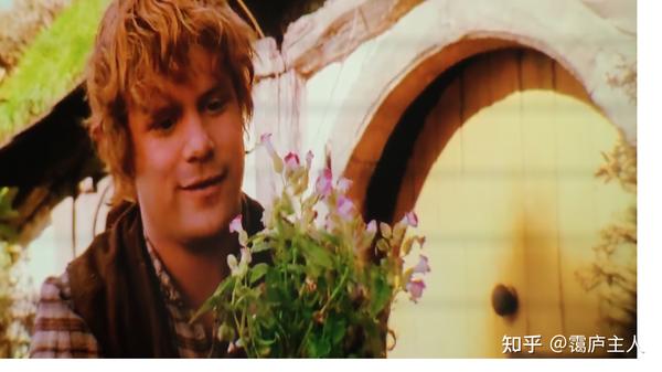 观影神器Goovis G3 MAX真实体验报告 - 知乎